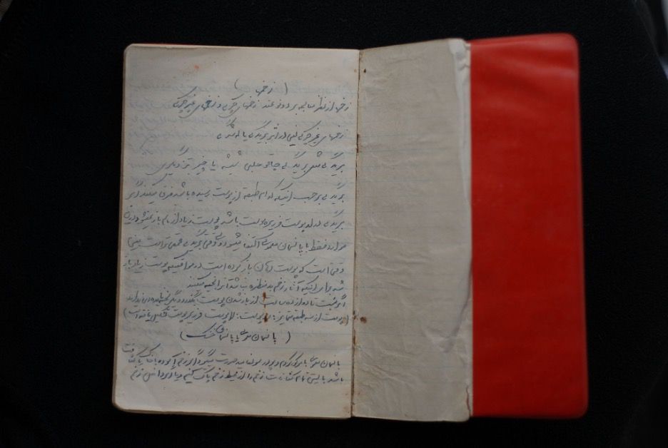 Pecking Wood / mohit.art