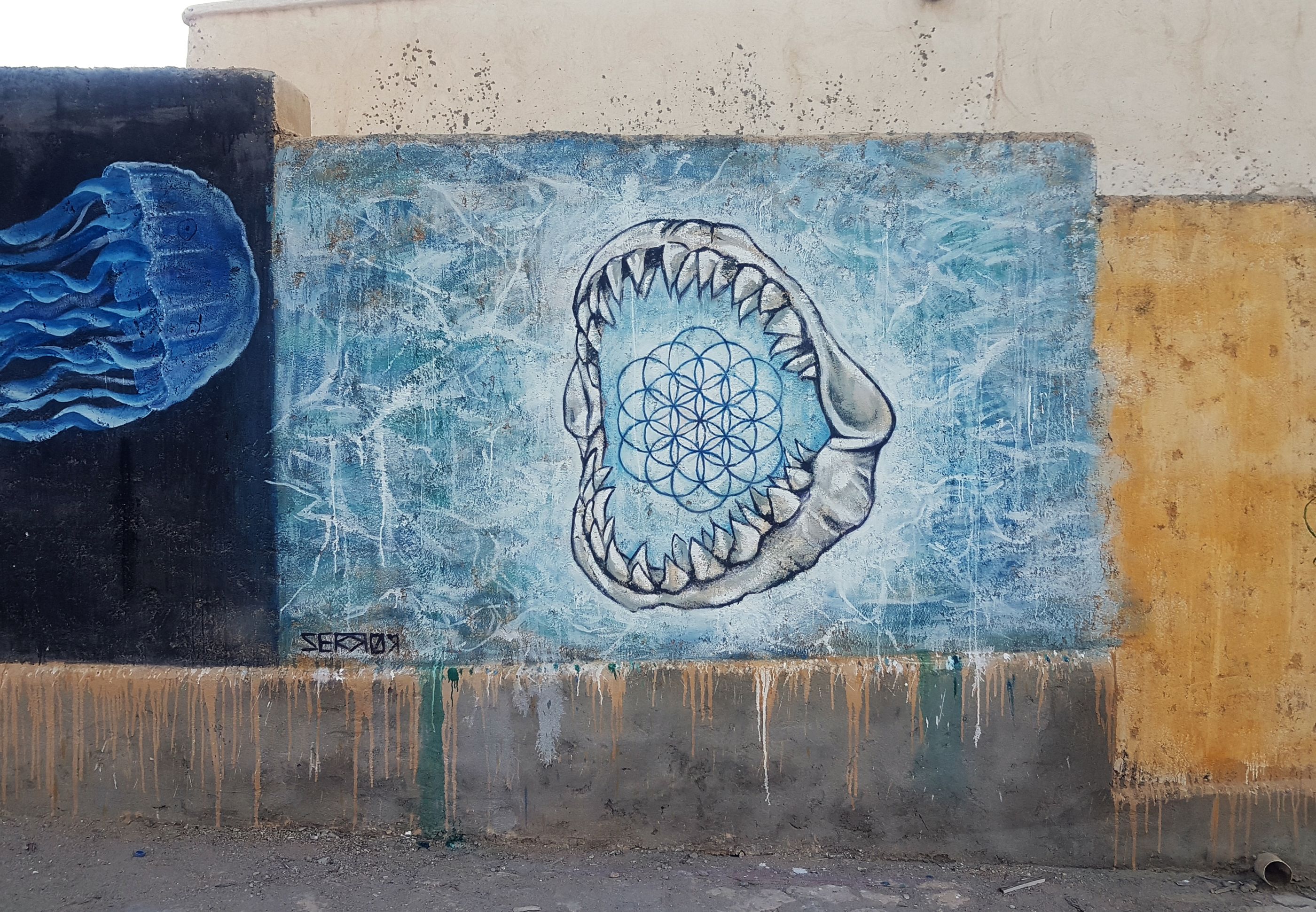 In the Name of Hope: Graffiti Art in Iran / mohit.art